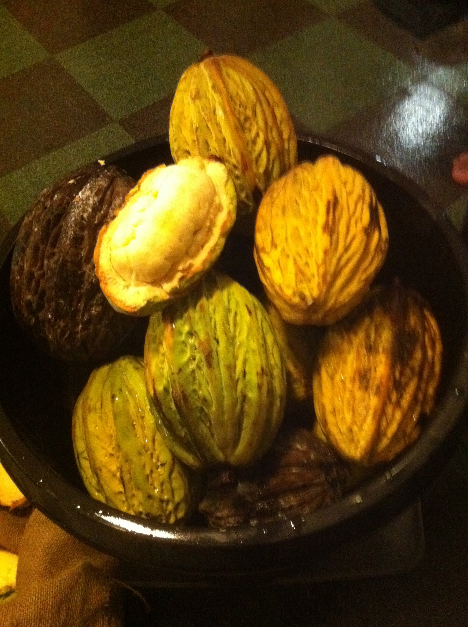 Jaguar Cacao | Madre Chocolate Hawaii